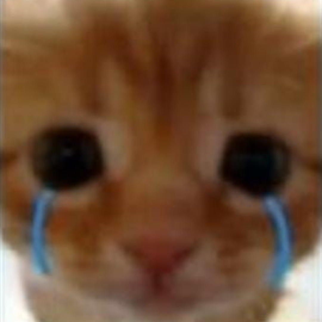 Stream miaw miaw miaw song sad cat by Cascaaa | Listen online for free on SoundCloud