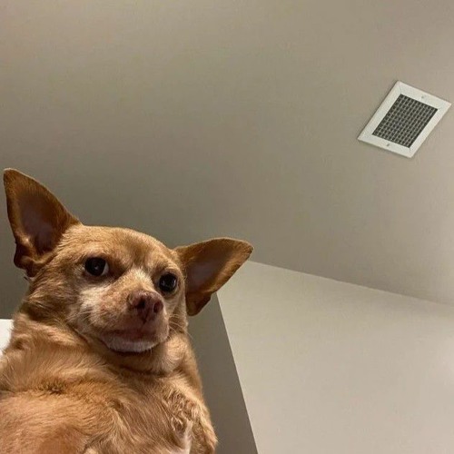 Stream TRUD£R - Si kila time by TRUD£R | Listen online for free on ...