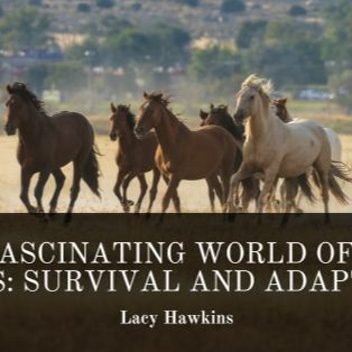 Stream episode The Fascinating World Of Wild Horses: Survival And ... Stream episode The Fascinating World Of Wild Horses: Survival And ...