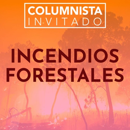 Stream episode Columnista Invitado - Incendios forestales by Pontificia Universidad Javeriana ...