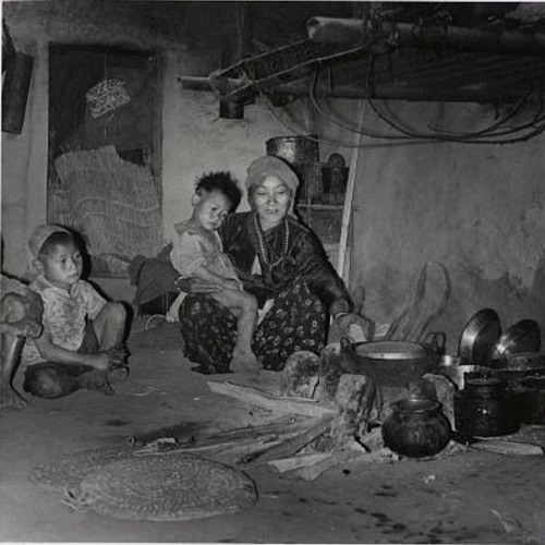 Stream What Grows In Water? by Cai Lewis-Jayms | Listen online for free ...