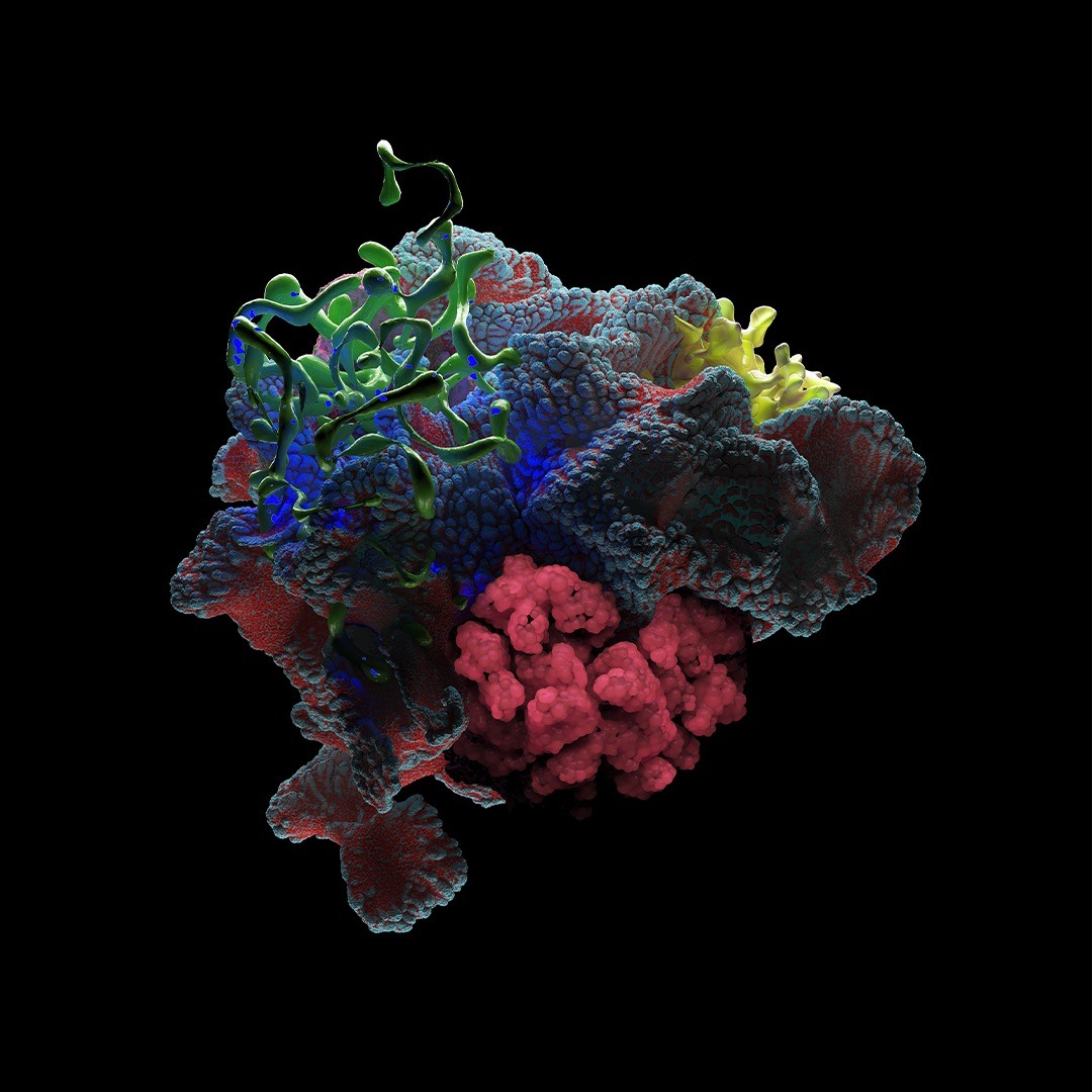 Stream Auggië | Listen to Auggië 2020 playlist online for free on ...