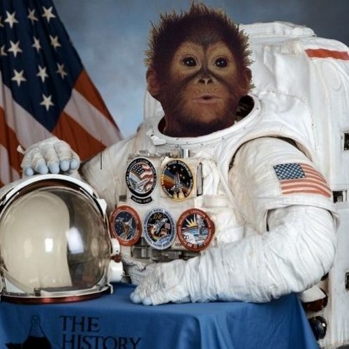 Stream AphexRosin by Myousick | Listen online for free on SoundCloud