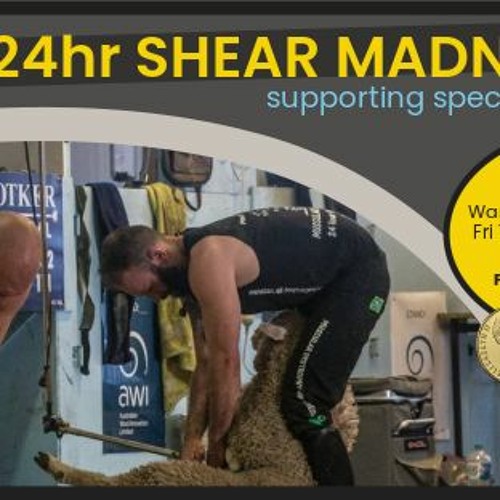 Stream 24 hour shear madness - raising money for mental health by Libby Price | Listen online ...