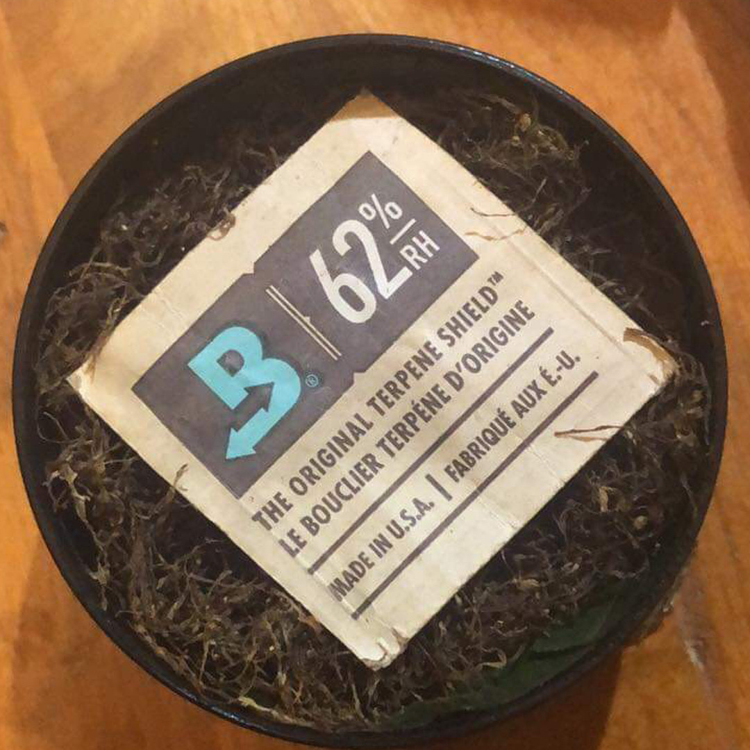 Stream Mấy Anh Em - Stay Winning C - Roc X Hustlang Robber (Official Vietnamese Rap Music Video ...