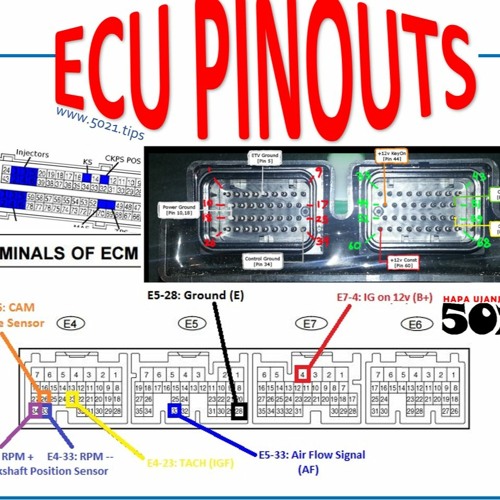 Stream 2nz Fe Ecu Pinout Pdf 72 by Julie | Listen online for free on ...
