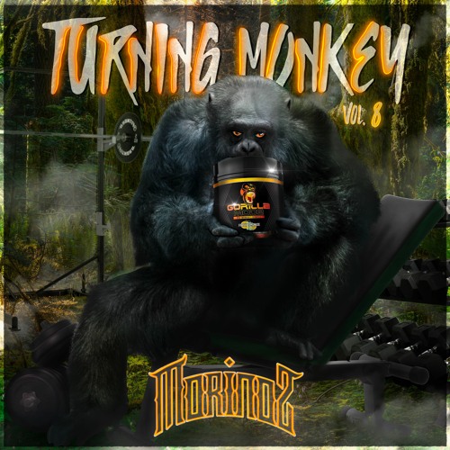 Stream TURNING MONKEY VOL. 8 by Morinoz | Listen online for free on SoundCloud
