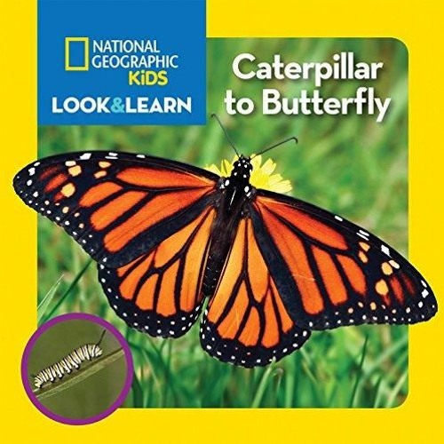 Stream episode download free (pdf) National Geographic Kids Look and ...