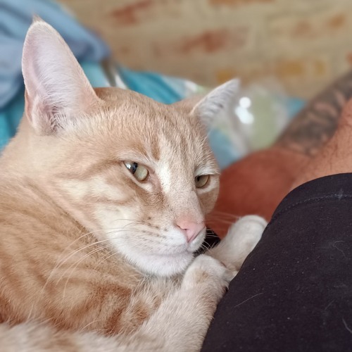 Stream JYG | Listen to jygg playlist online for free on SoundCloud