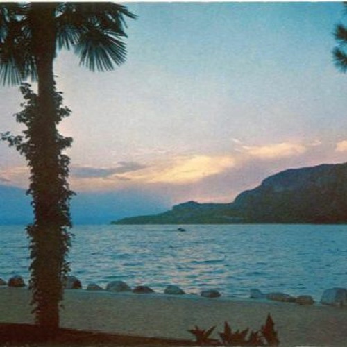 Stream Only One by Cozi | Listen online for free on SoundCloud