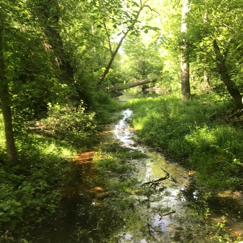 Stream Sacred Space by Katie Foran-McHale | Listen online for free on ...