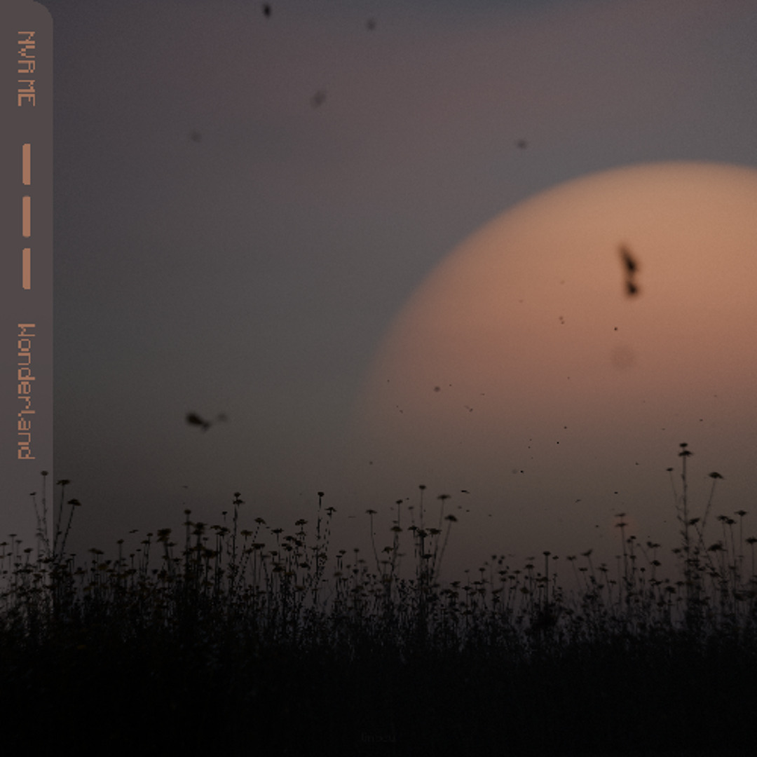 Stream Baby Blizzard w/NVR ME by Wonderland | Listen online for free on ...