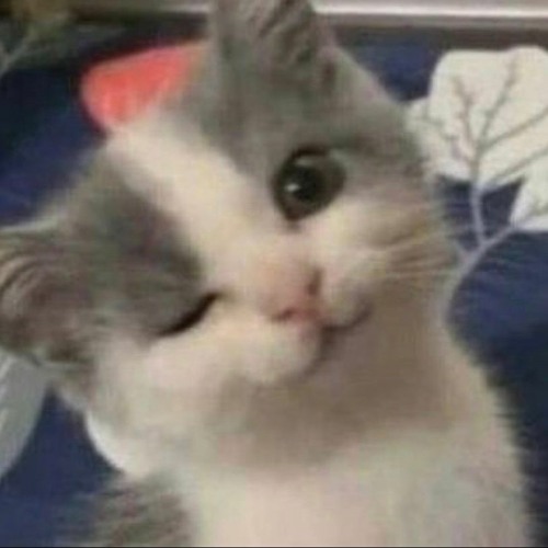 Stream SLUCKISH | Listen to DAEYA playlist online for free on SoundCloud