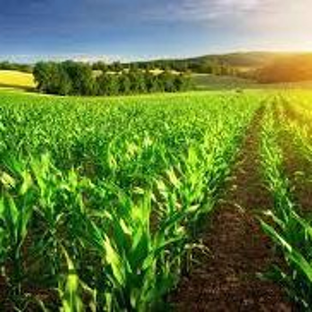 Stream Agriculture and Farm Management Online Training Course by ...