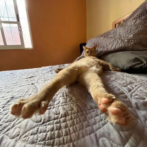 Stream Basic by Daniel Torto | Listen online for free on SoundCloud