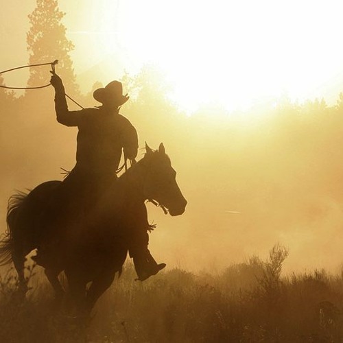 Stream episode Cowboy by WES TANNER VO podcast | Listen online for free ...