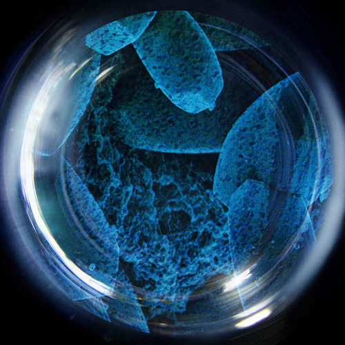 Stream Buried on Mars by True August | Listen online for free on SoundCloud