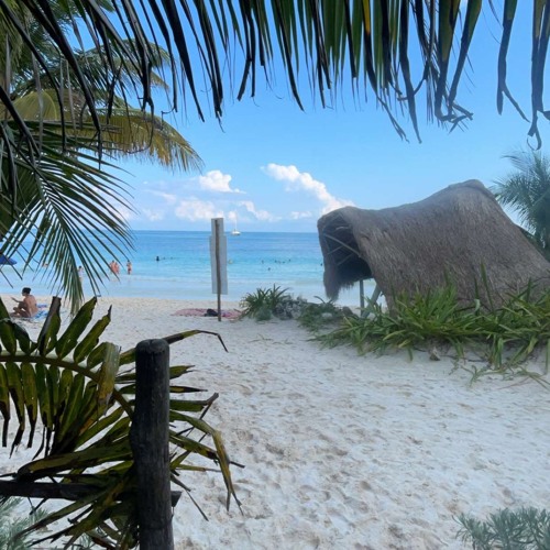 Stream elliott bell | Listen to Summer playlist online for free on ...