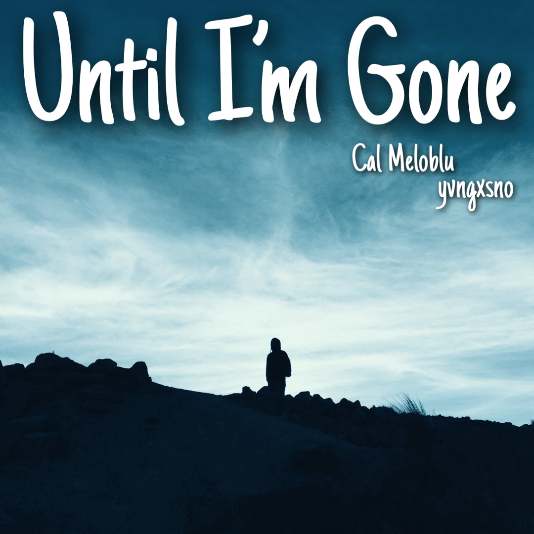 Stream Until I'm Gone (feat. yvngxsno) by Cal Meloblu | Listen online ...