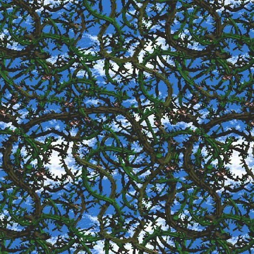 Stream Donkey Kong Country 2 - Brambles/Stickerbush Symphony/Bramble ...