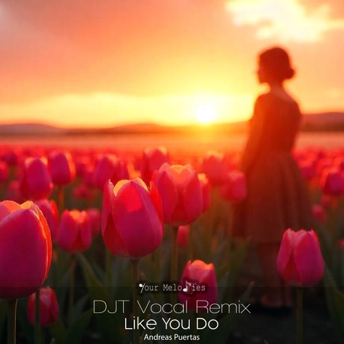 Stream Like You Do (DJT Vocal Intro Remix) by Andreas Puertas | Listen ...