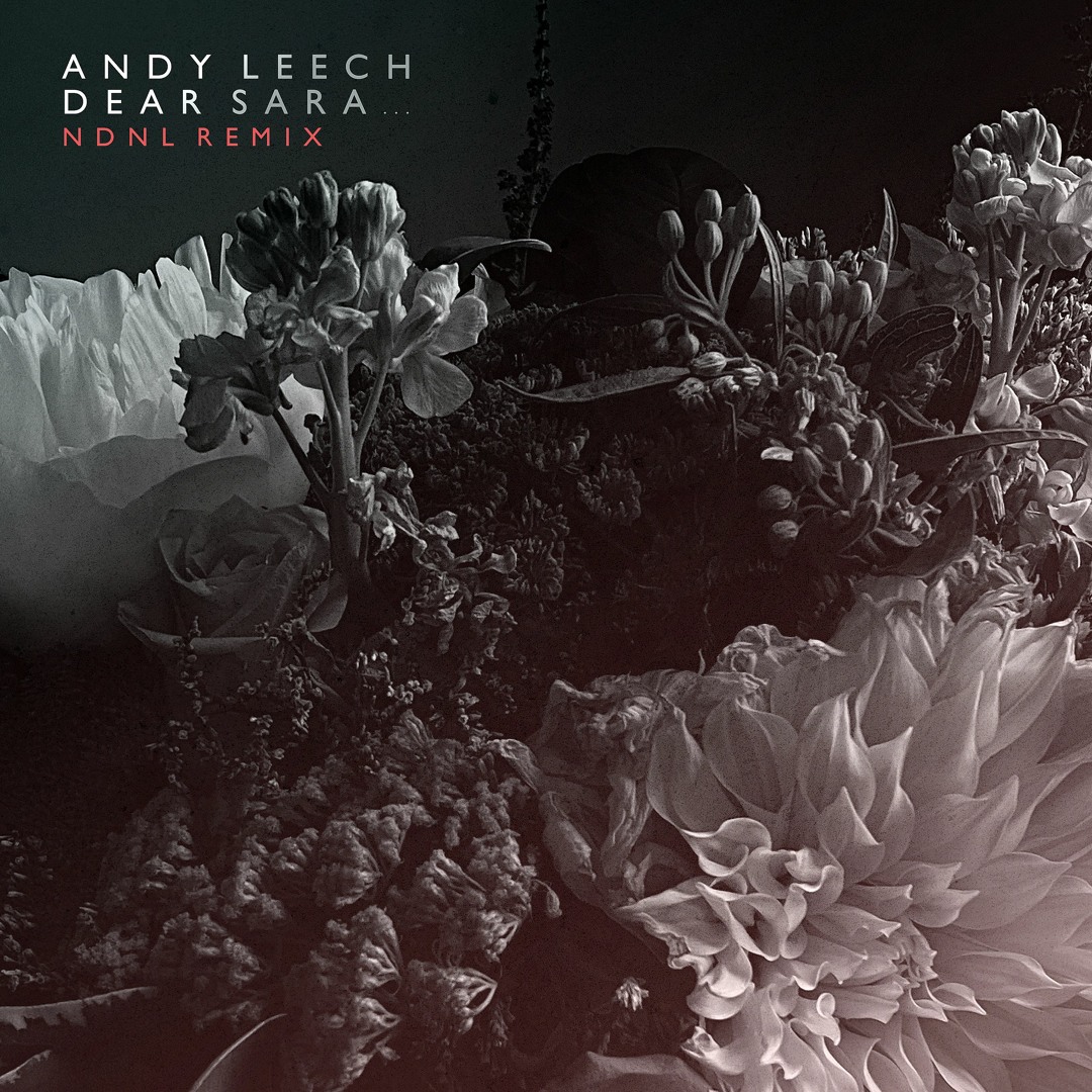 Stream Andy Leech - Dear Sara... (NDNL Remix) by Ezhevika | Listen ...