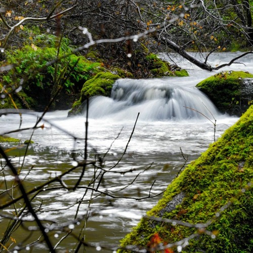 Stream Local Rivers See Record High & Low Flows in 2021 by KMUD News ...