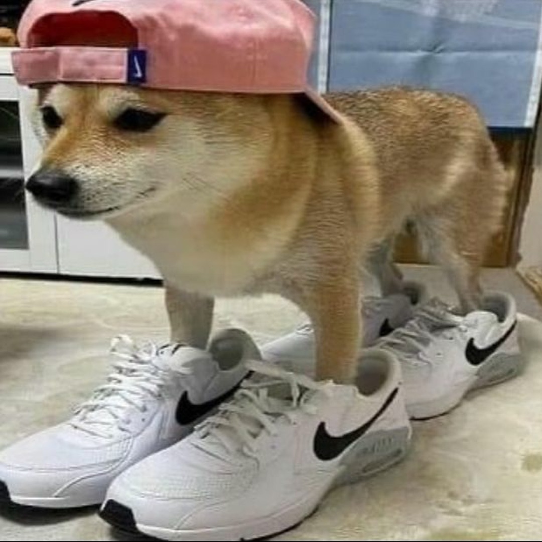 Stream Goofy Ahh Beat by Coop | Listen online for free on SoundCloud