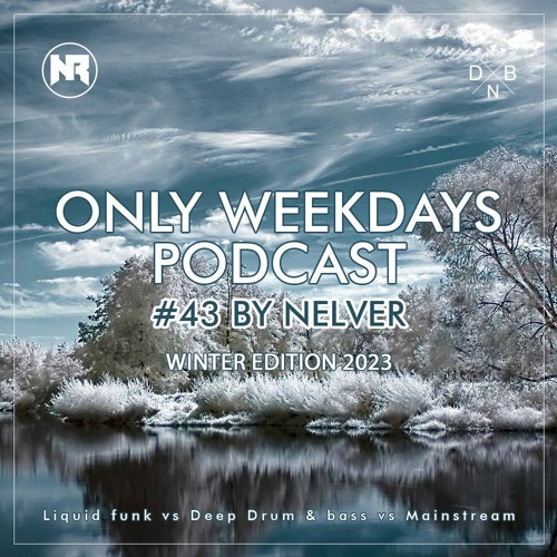 Nelver - Only Weekdays Podcast #43 2023-12-01