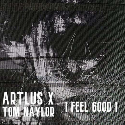 Stream ARTLUS X Tom Naylor - Feel Good (FREE DL) by Tom Naylor | Listen ...