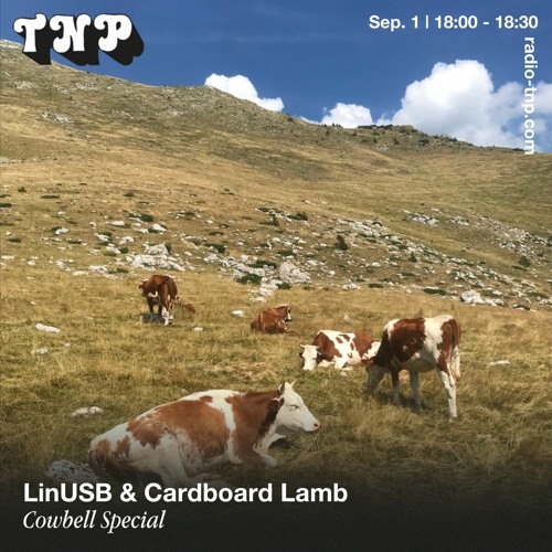 Stream Cowbell Special w/ LinUSB & Cardboard Lamb @ Radio TNP 01.09. ...