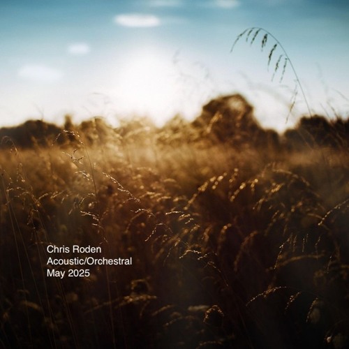 Stream Summer Smiles by Chris Roden | Listen online for free on SoundCloud