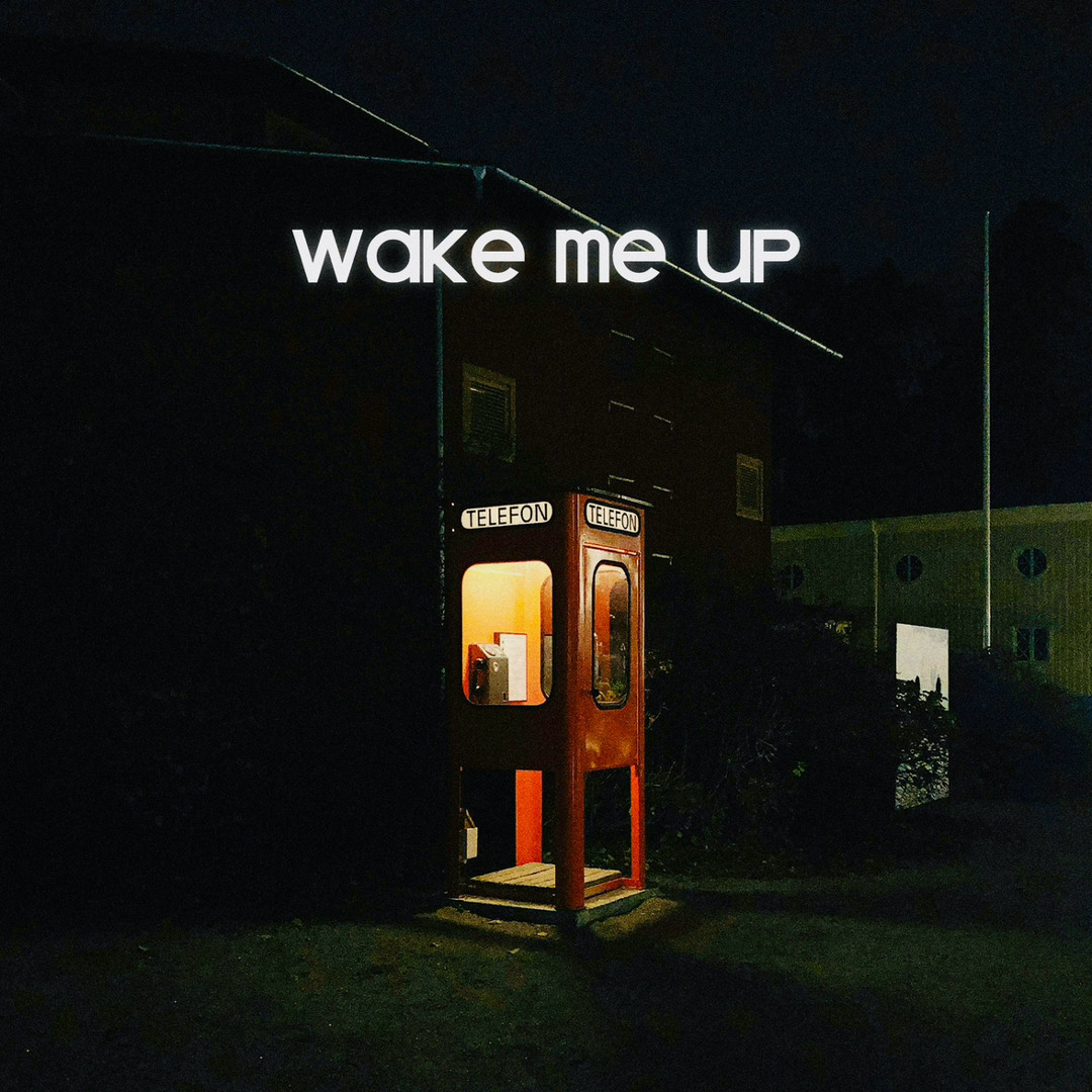Stream WAKE ME UP - aleemrk by aleemrk | Listen online for free on ...