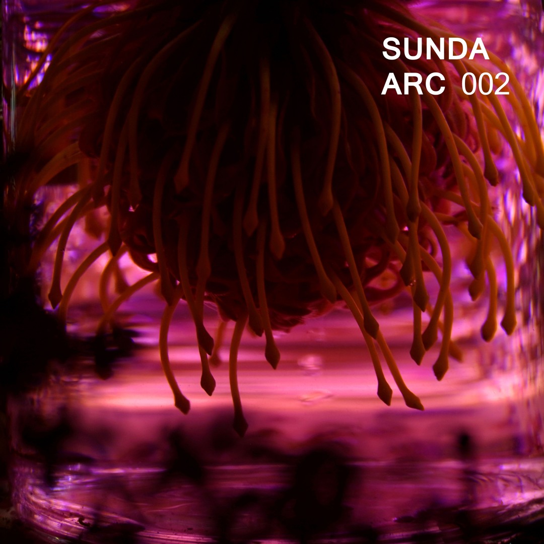 Stream Abacus by Sunda Arc | Listen online for free on SoundCloud