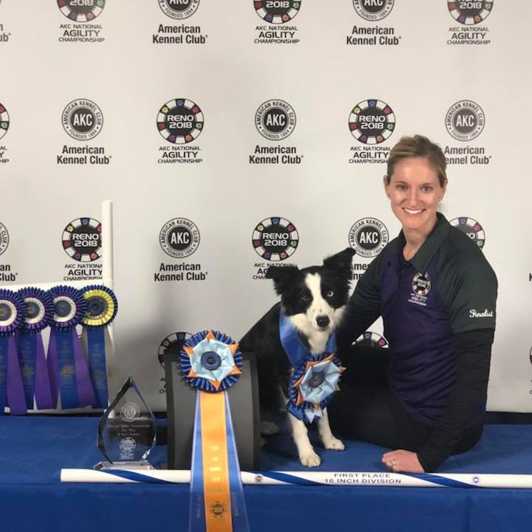 Stream 190: One Million Downloads Plus AKC Nationals Wrap-Up by Bad Dog ...