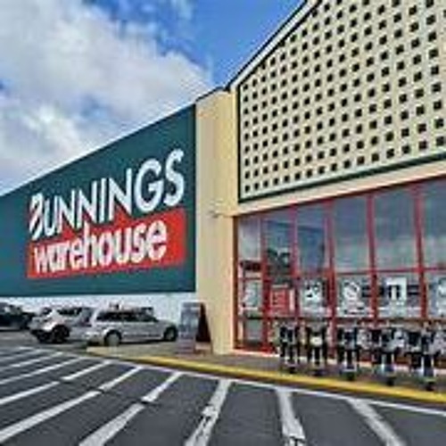 Stream Bunnings Warehouse Trap Remix by Bigc0ckLach | Listen online for ...