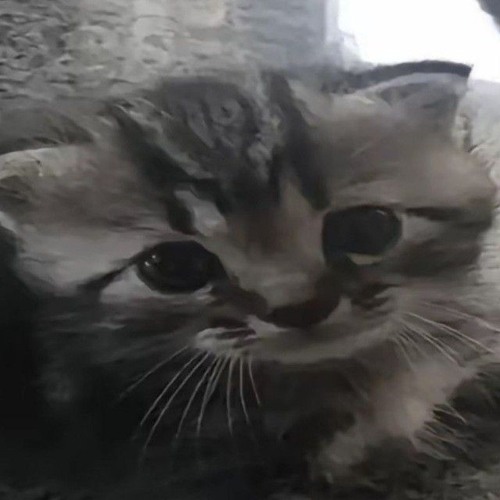 Stream hormis - sad vibe w/ четыревосемь prod. souljahrosa by hormis ...