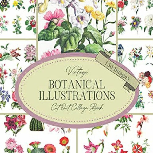 Stream DOWNLOAD/PDF Vintage Botanical Illustrations Cut Out Collage ...