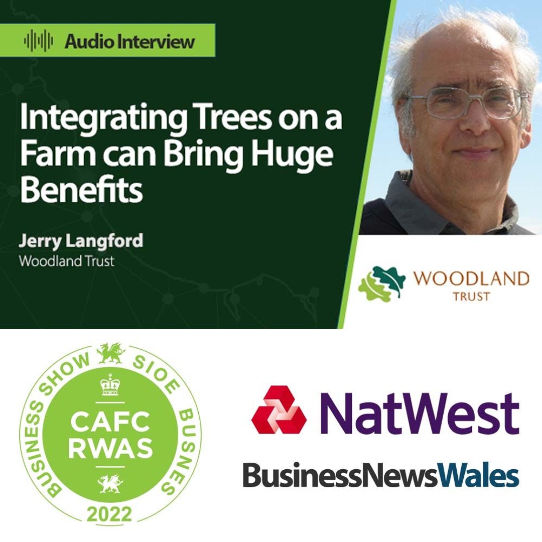 Stream Integrating Trees on a Farm can Bring Huge Benefits by Business ...