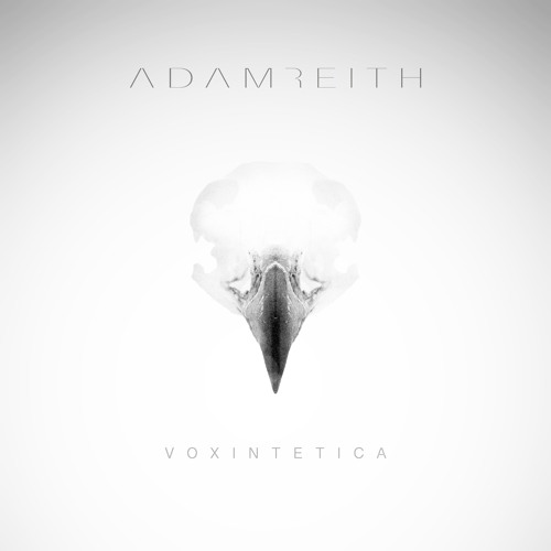 Stream 5 - Tree Of Life by Adam Reith | Listen online for free on ...