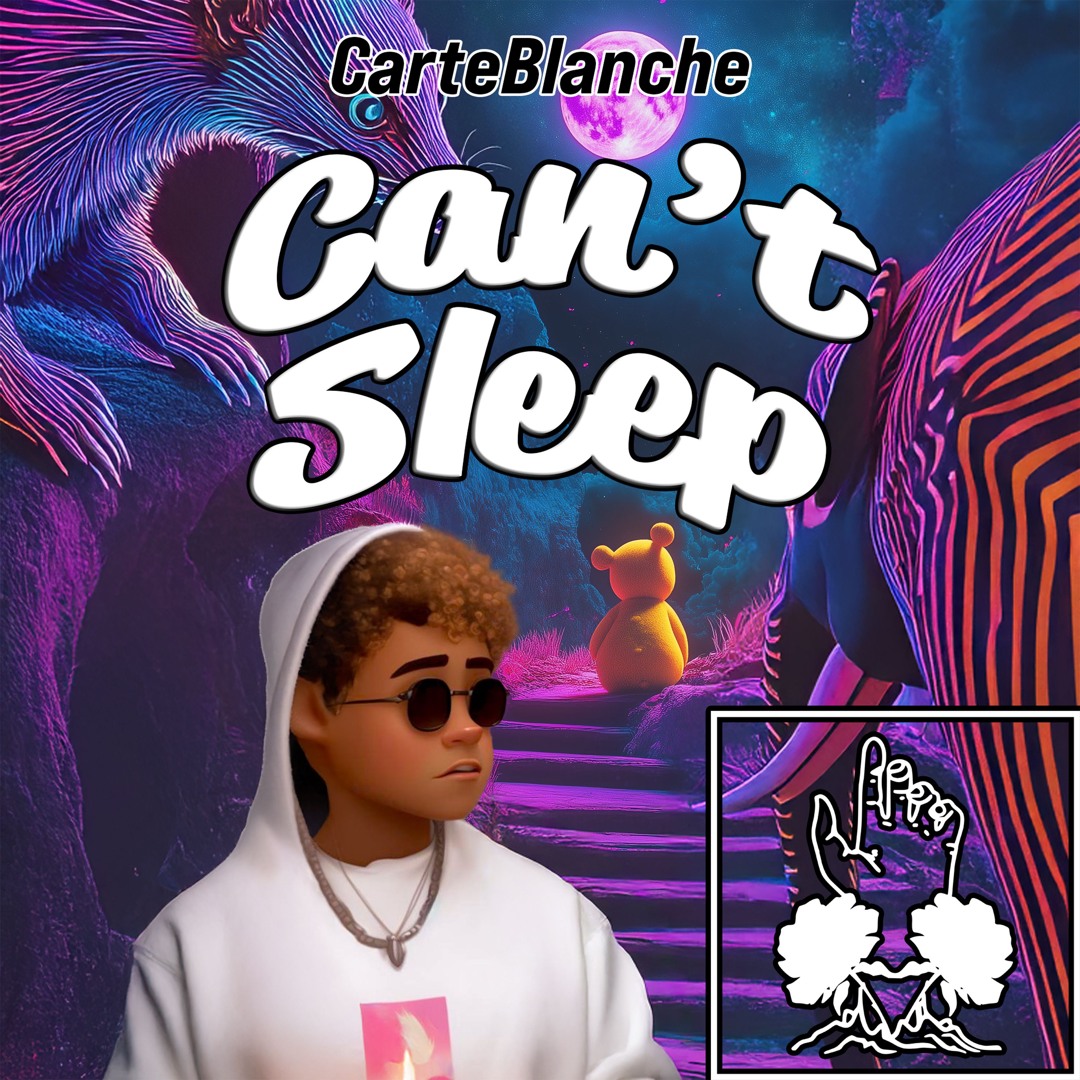 Stream CarteBlanche - Can't Sleep (Original Mix) [FREE DOWNLOAD] by ...