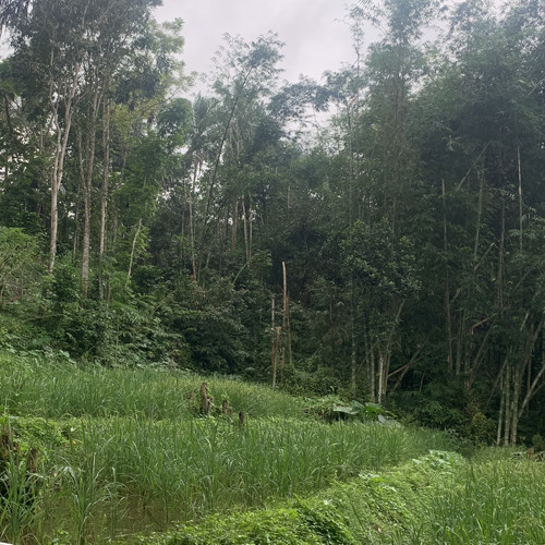 Stream Merra - COLORCODE (COVER) by Bad Eight18teen | Listen online for ...