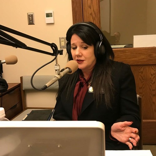 Listen to playlists featuring 03-04-22 - RADIO: Capitol Report with Rep ...