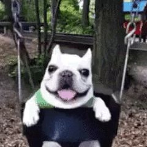 Stream lkol | Listen to lol playlist online for free on SoundCloud