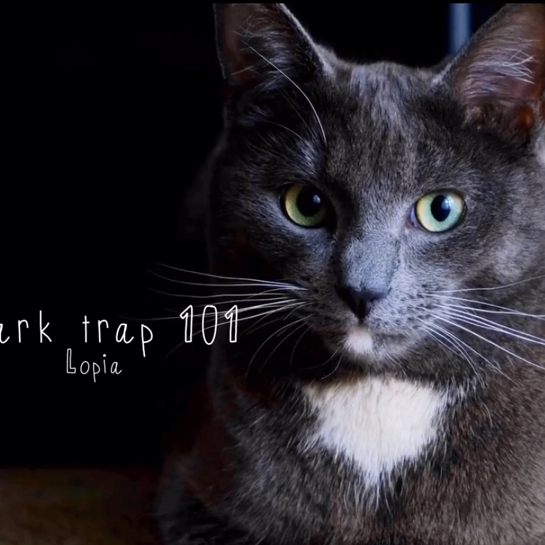 Listen to music albums featuring Ananpat - Dark trap 101 by Ananpat online for free on SoundCloud