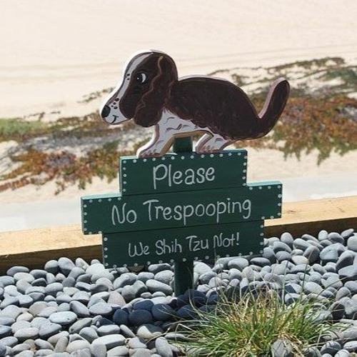 Stream Pair Of Poopie Puppies by Xtreme 107.1 | Listen online for free ...