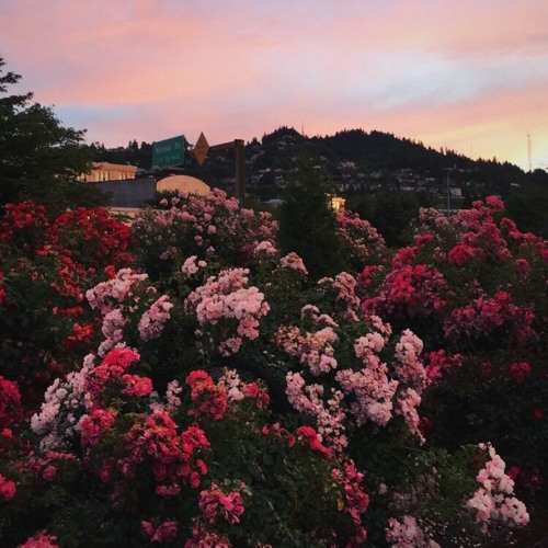 Stream Grim OX - Yeat "Sick" Remix [Reprod. Vertical X Thayerperiod] by ...