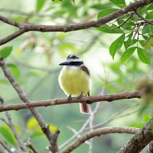 Stream Sonido #4 by ♪ | Listen online for free on SoundCloud