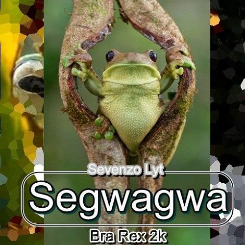 Stream Sevenzo_Lyt_-_Segwagwa (official audio) by Sevenzo Lyt | Listen ...
