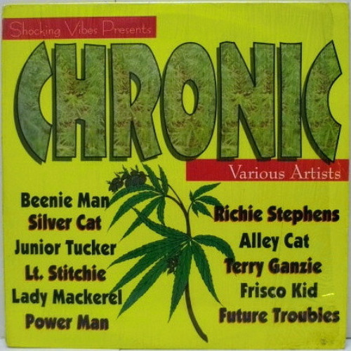 Stream Storm Riddim Mix Aka Chronic Riddim (1995) Beenie Man,Mega ...